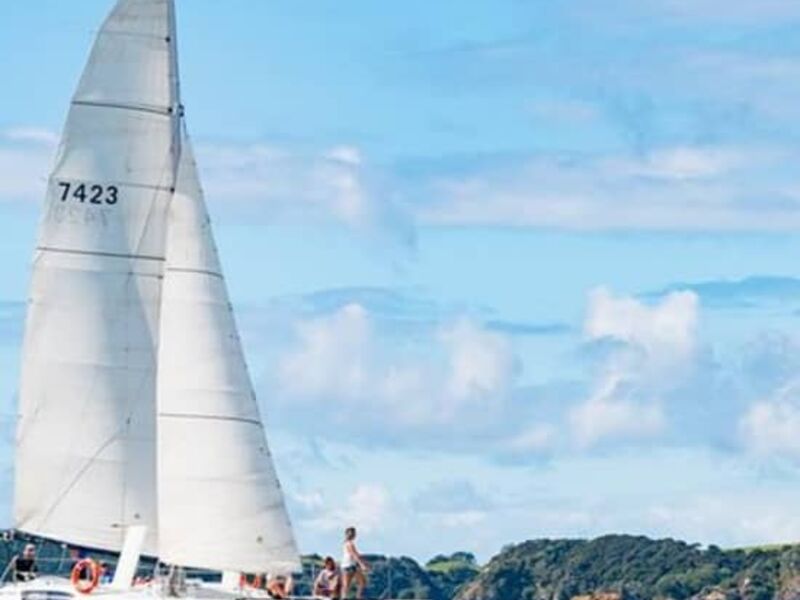 Island Hopper Day Cruise - sailing to wildlife sanctuary island - 6 hr ...