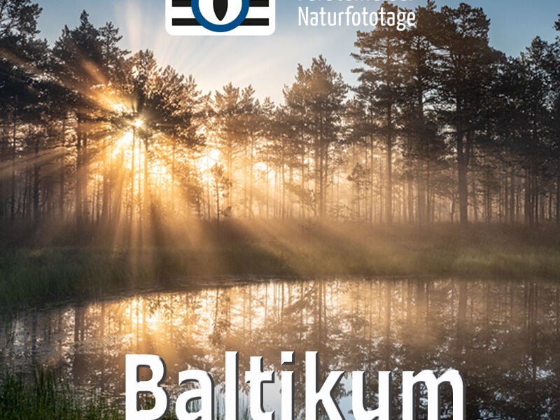 Baltikum - Estland, Lettland, Litauen, Königsberg, Fürstenfeldbruck ...